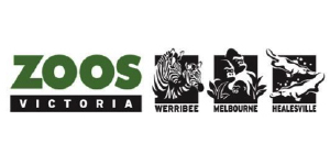 Project team and partners - Monash Children's Hospital